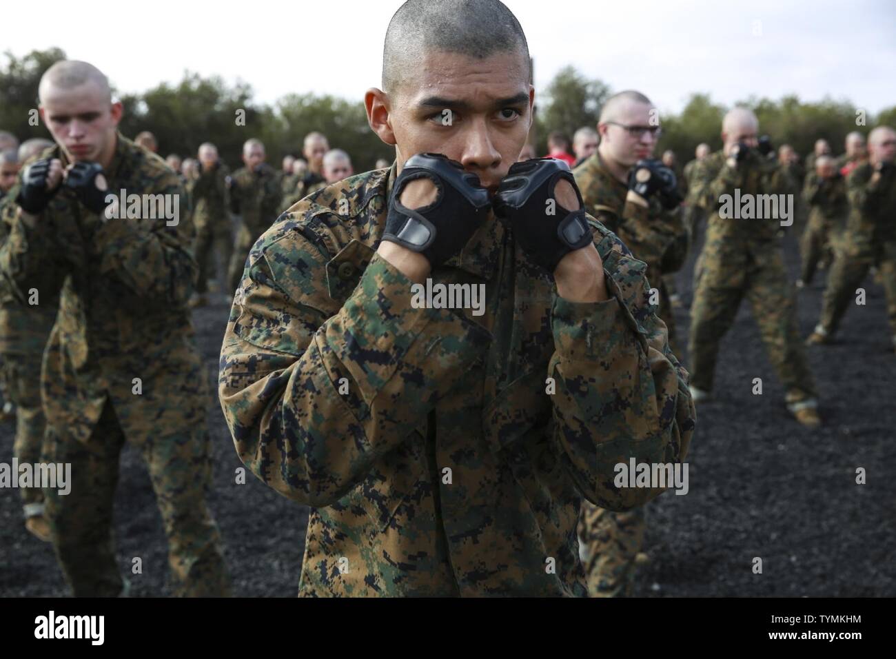 Recruit from bravo company 1st hi-res stock photography and images - Alamy