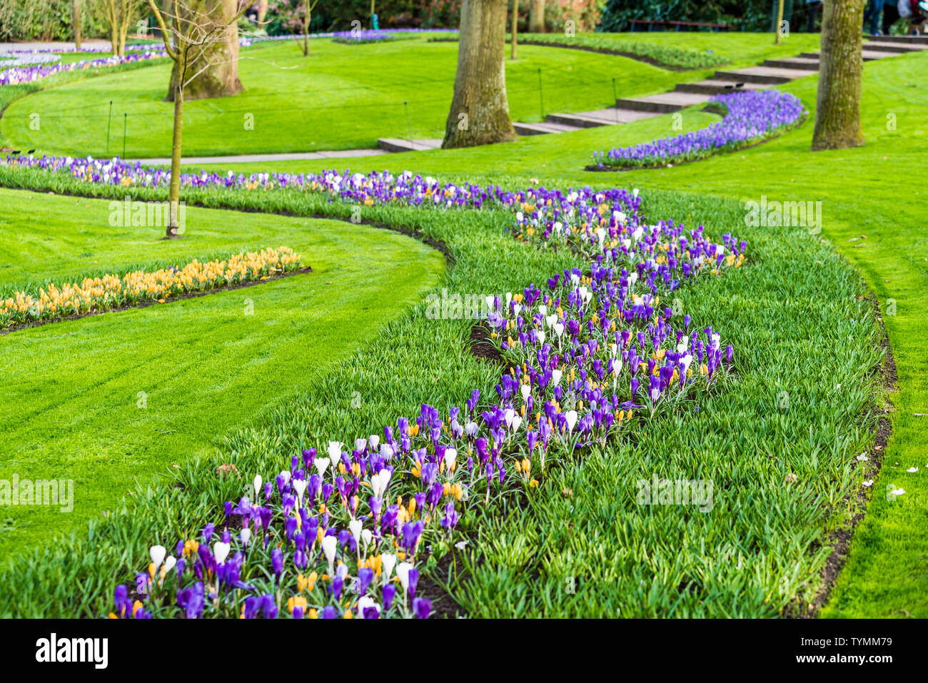 Beautiful garden in spring Stock Photo - Alamy