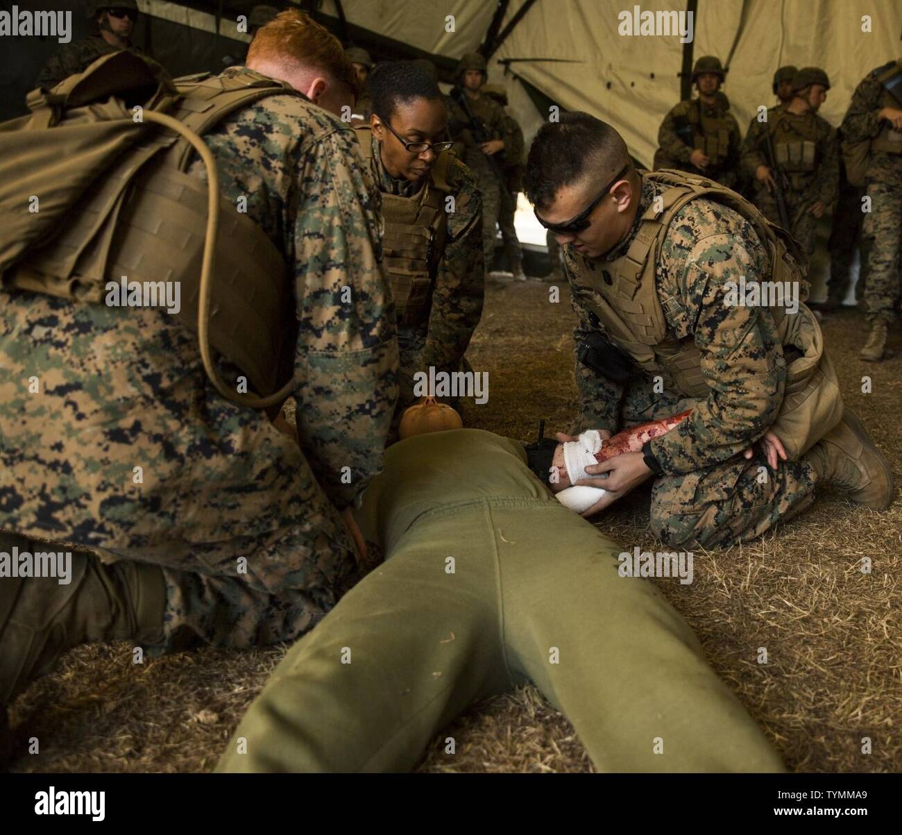 A Navy corpsman with Combat Logistics Battalion 8, 2nd Marine Logistics ...