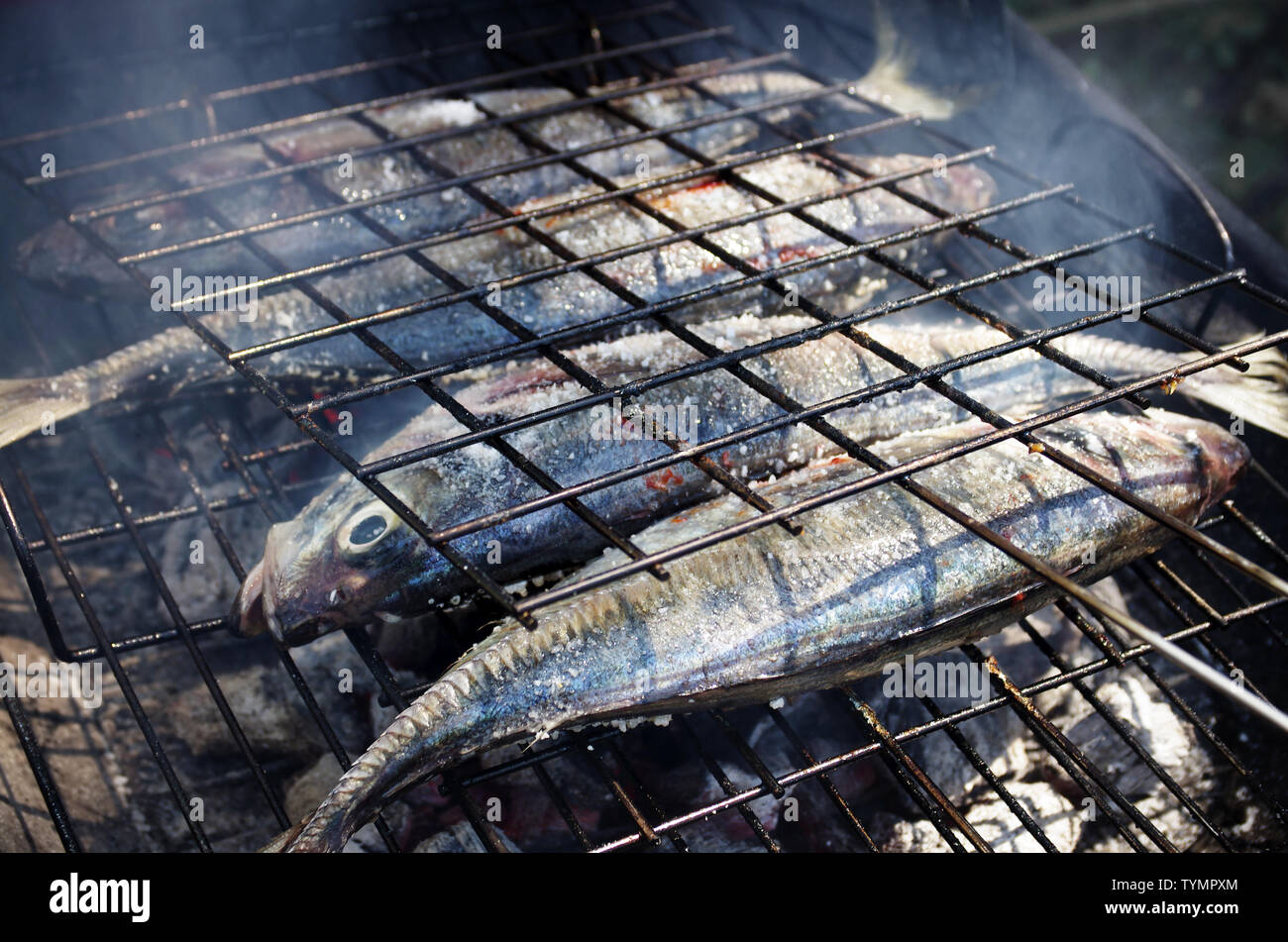 Closeup on mackerel fish being cooked in a coal barbecue Stock Photo ...