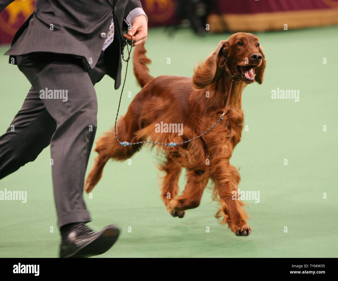 Caught red handed hi-res stock photography and images - Alamy