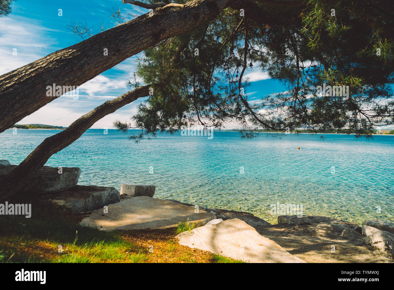 view of sea beach with tree that making shadow. summer vacation ...
