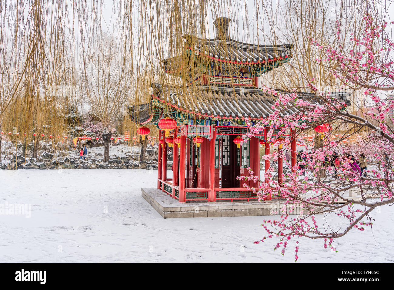 Beijing spring snow Stock Photo - Alamy