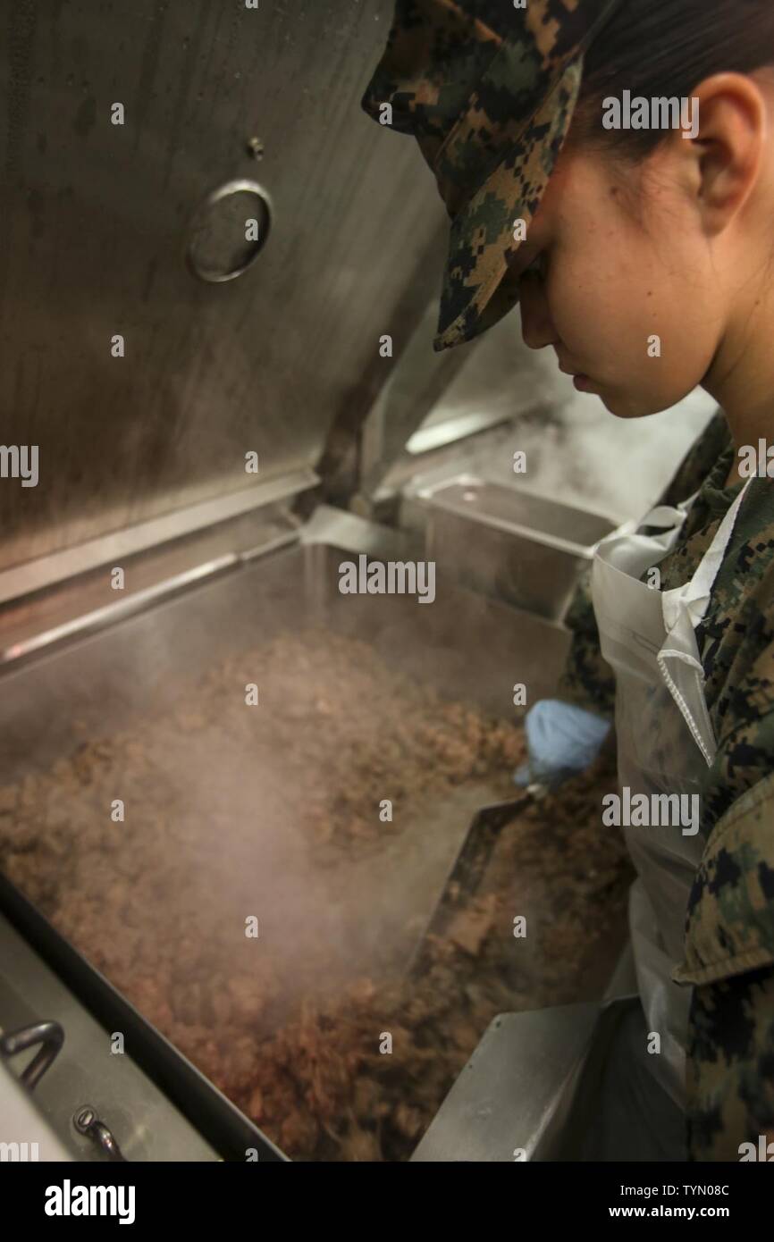 Military sanitary group hi-res stock photography and images - Alamy