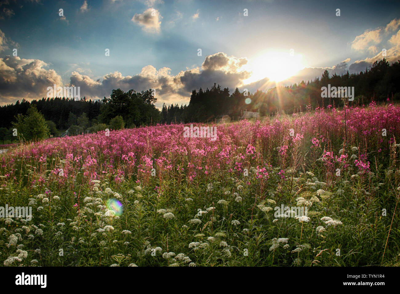 Valley in czech national park Giant mountain- Krkonose. The town with a ...