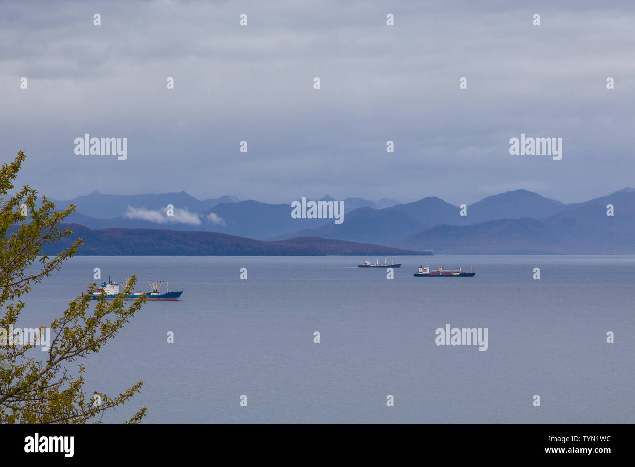 View of the Avacha Bay. Ships standing in the roadstead, mountain in ...