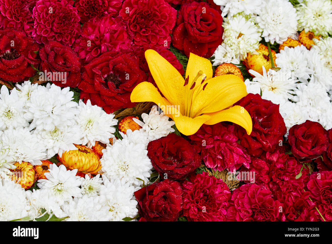 Corpus Christy religious celebration with flower decorations, funchal ...