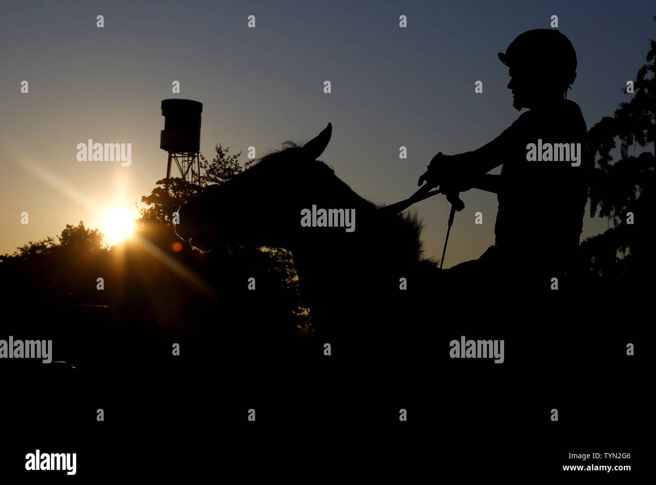 New approach horse hi-res stock photography and images - Alamy