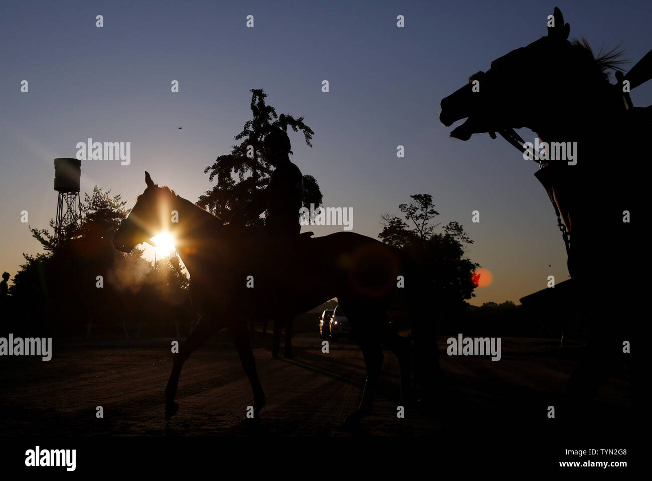 New approach horse hi-res stock photography and images - Alamy