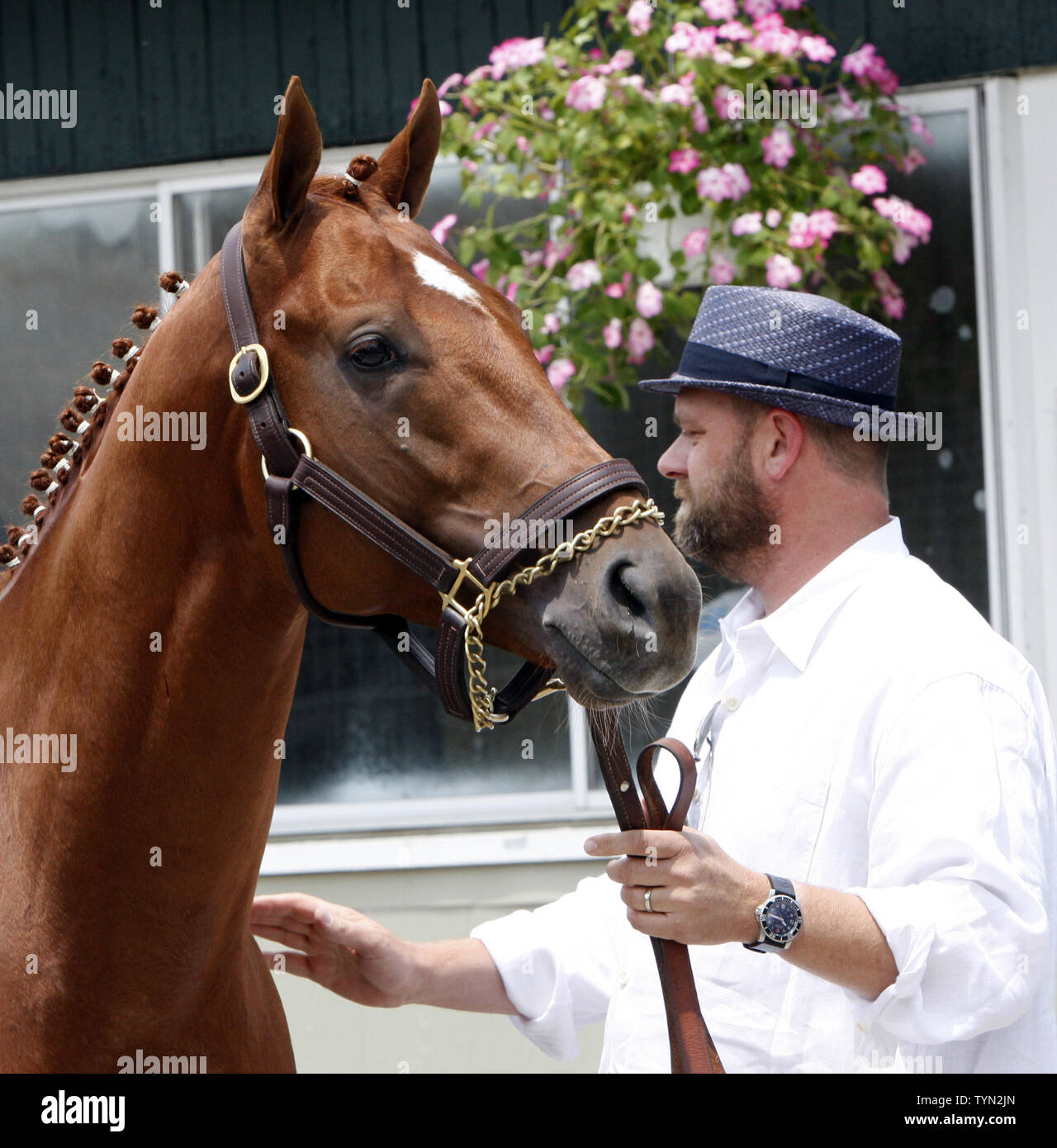 Trainer doug oneill hi-res stock photography and images - Alamy