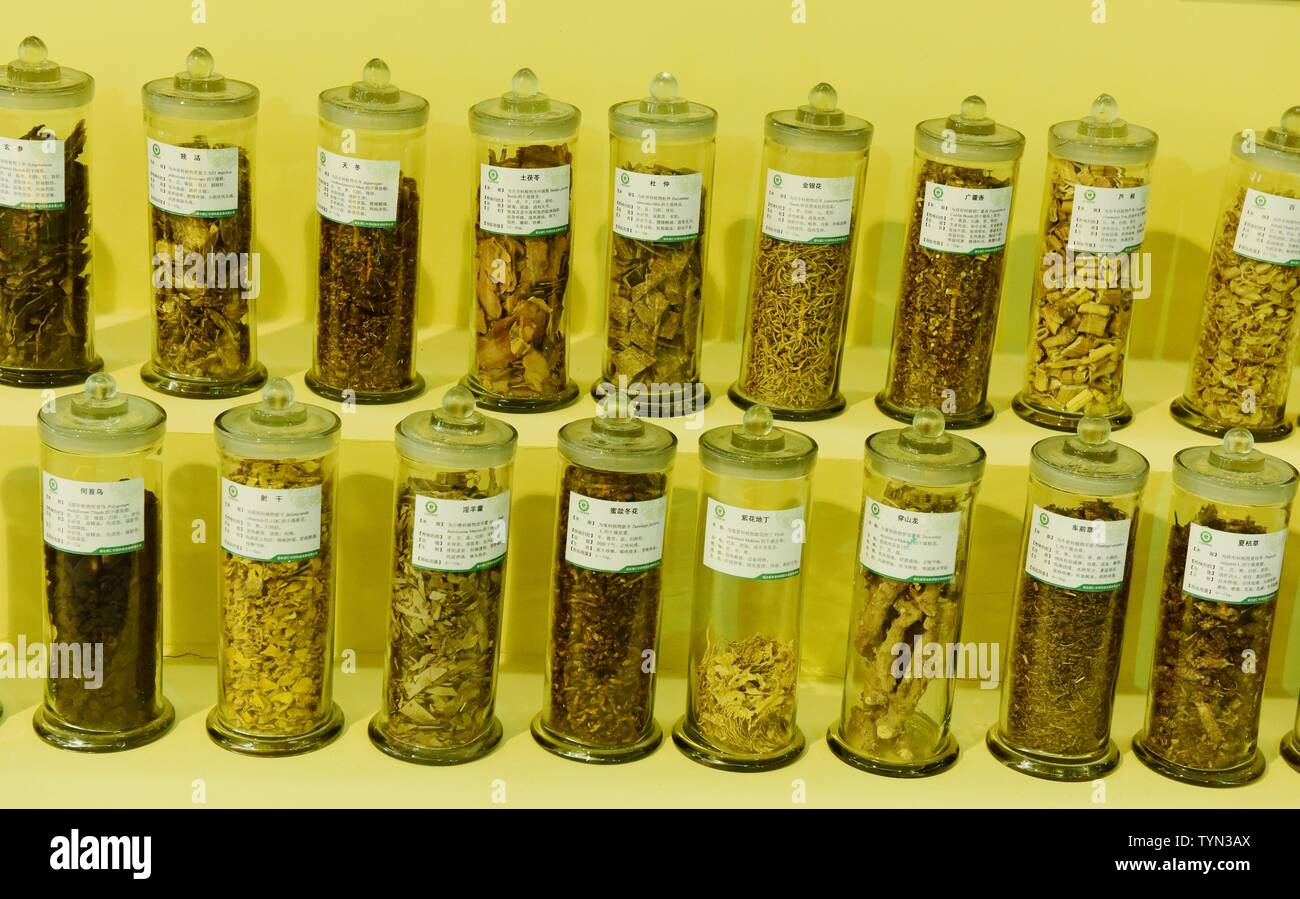 Chinese herbal plant specimens Stock Photo - Alamy
