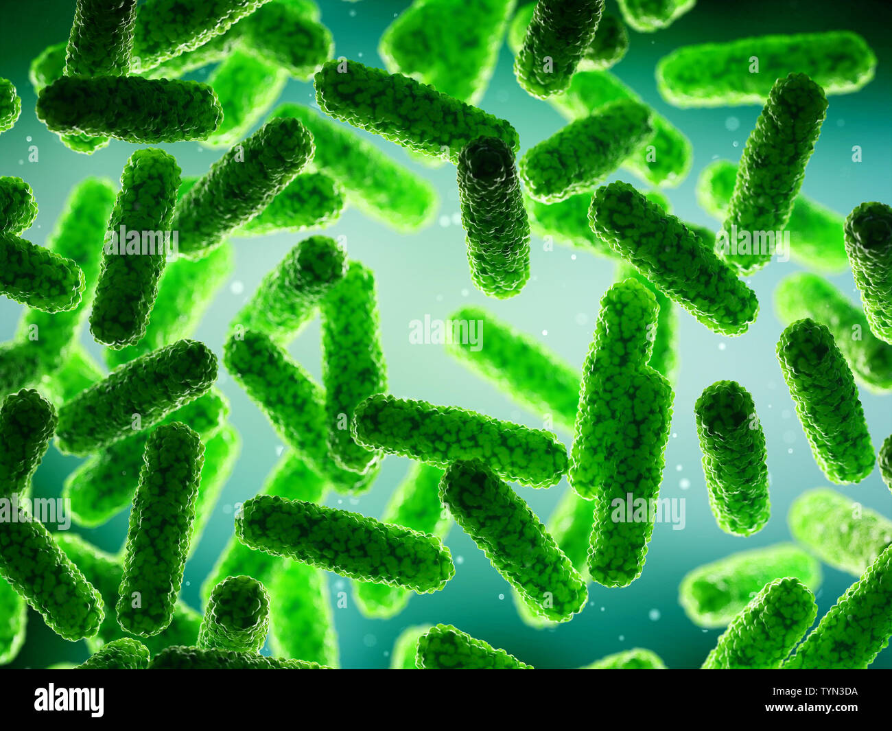 3d rendered medically accurate illustration of bacteria Stock Photo - Alamy