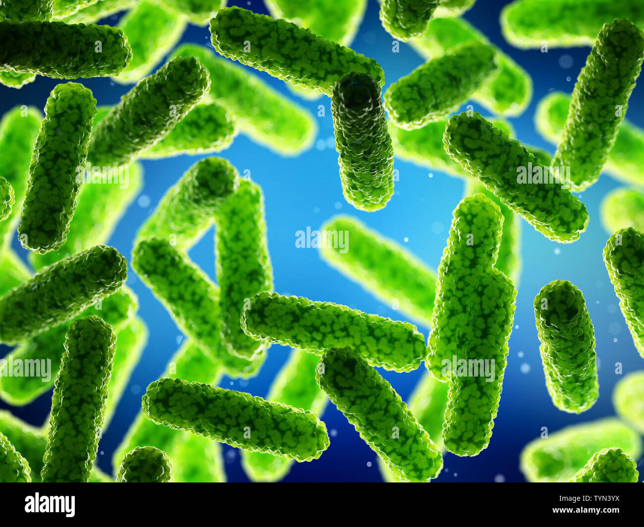 3d rendered medically accurate illustration of bacteria Stock Photo - Alamy