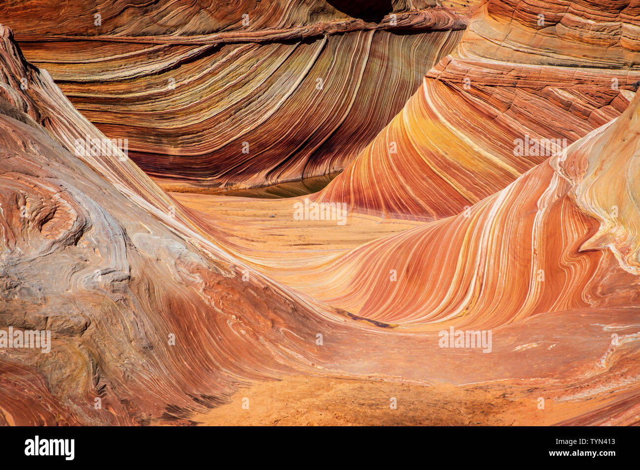 The Wave in Vermillion Cliffs, Arizona Stock Photo - Alamy