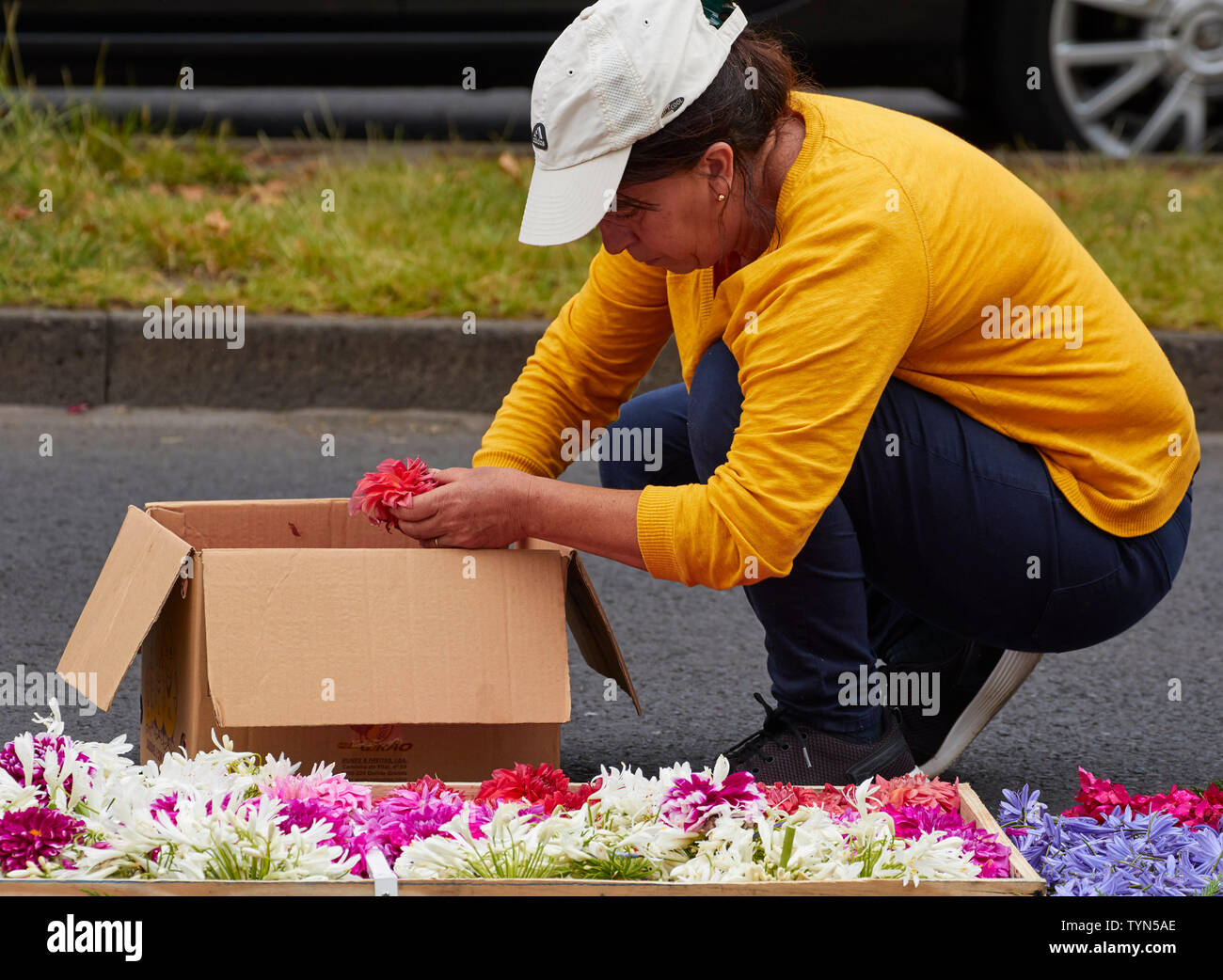 Corpus Christy religious celebration with flower decorations, funchal ...