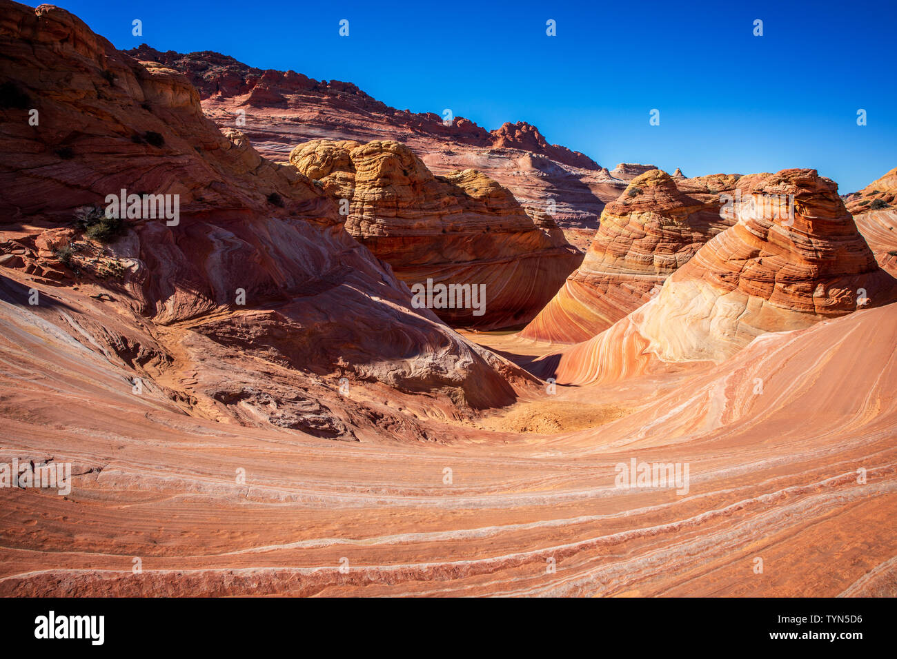 The Wave in Vermillion Cliffs, Arizona Stock Photo - Alamy