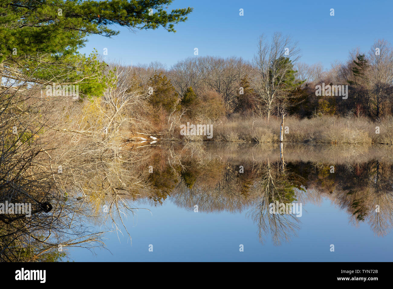Odiorne Point State Park in Rye, New Hampshire USA during the spring ...