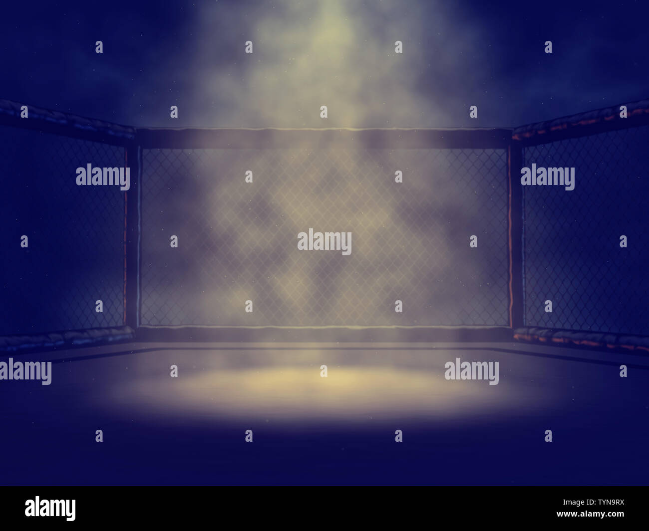 Empty boxing ring hi-res stock photography and images - Alamy