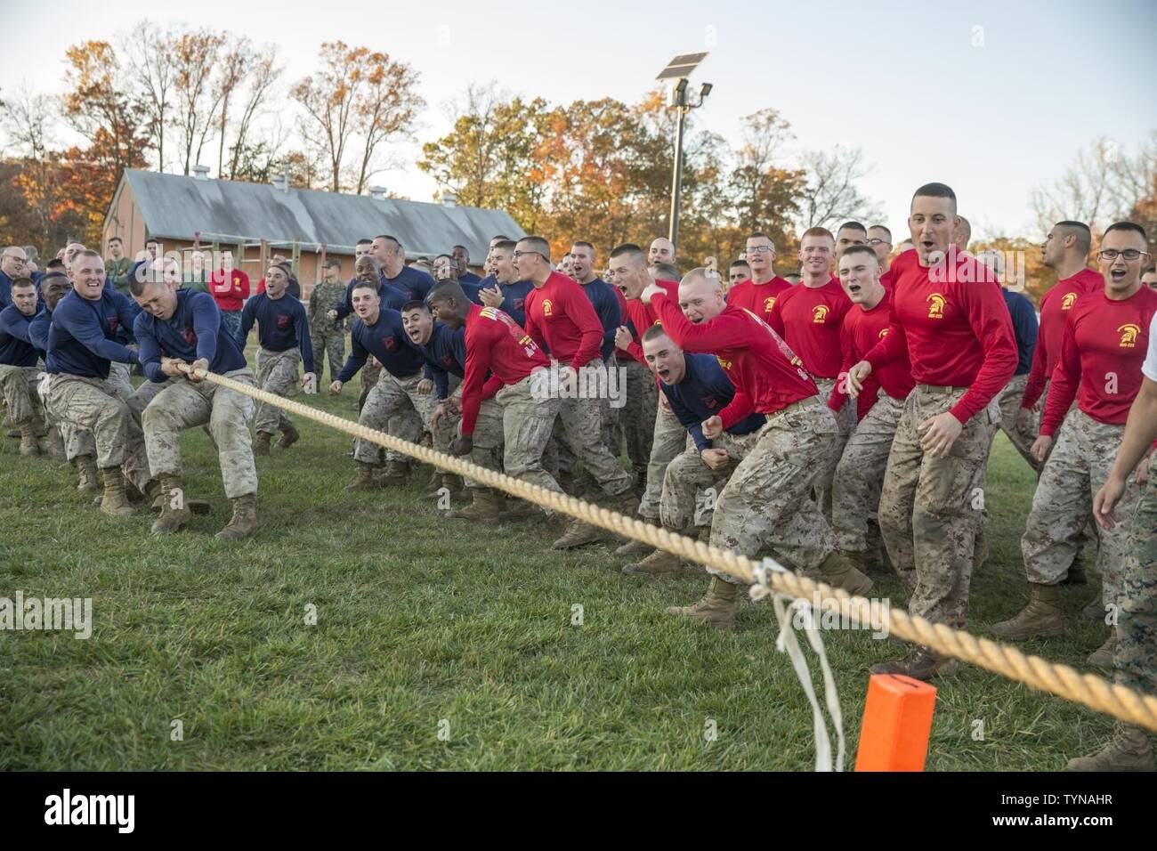 U.S. Marines with the Officer Candidate School (OCS) cheer on their ...