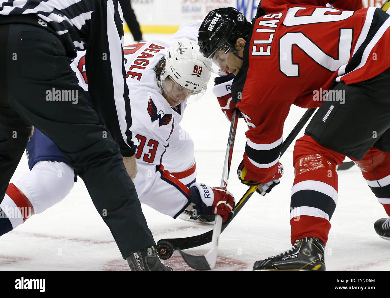 Jay beagle hi-res stock photography and images - Alamy