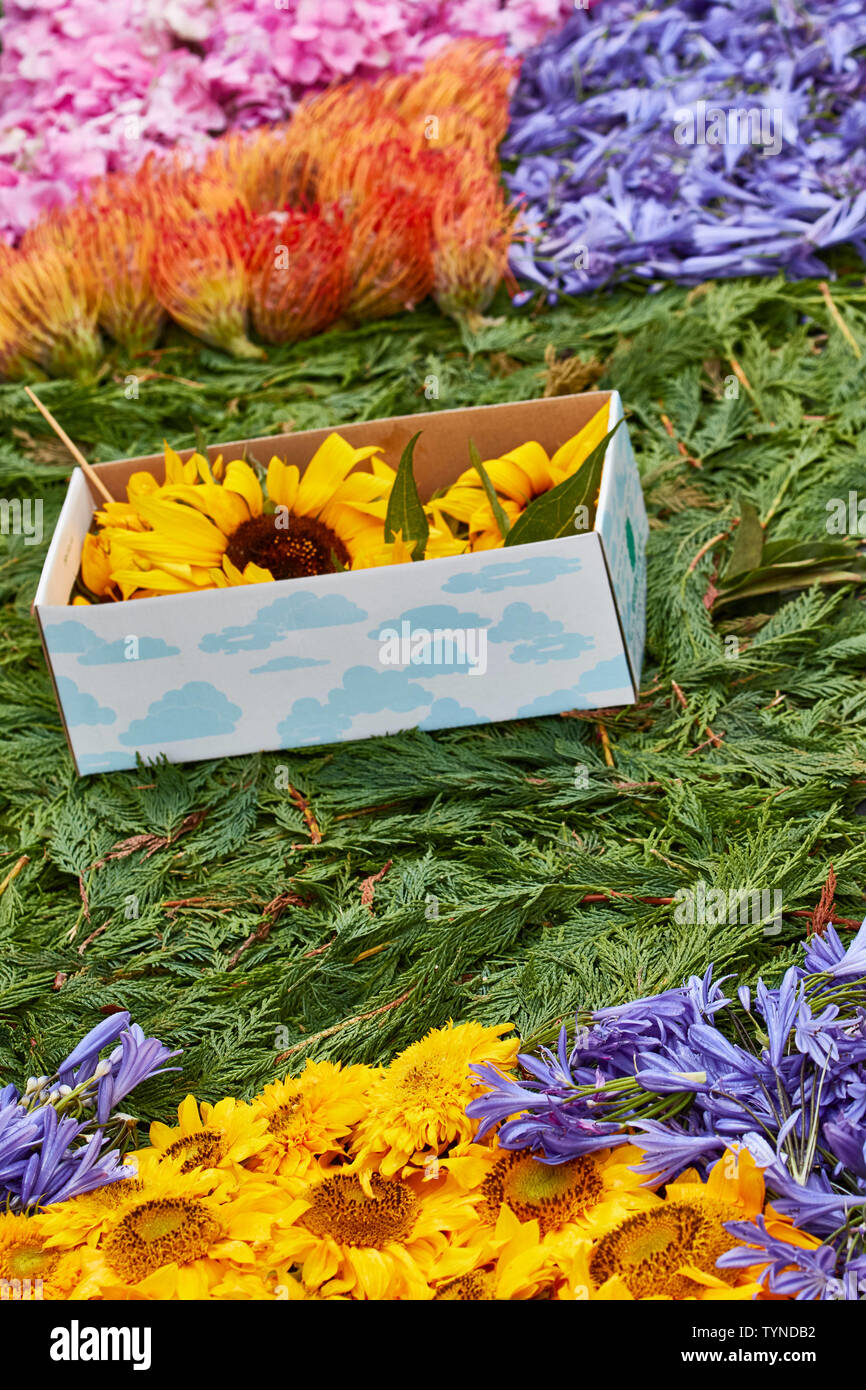 Corpus Christy religious celebration with flower decorations, funchal ...