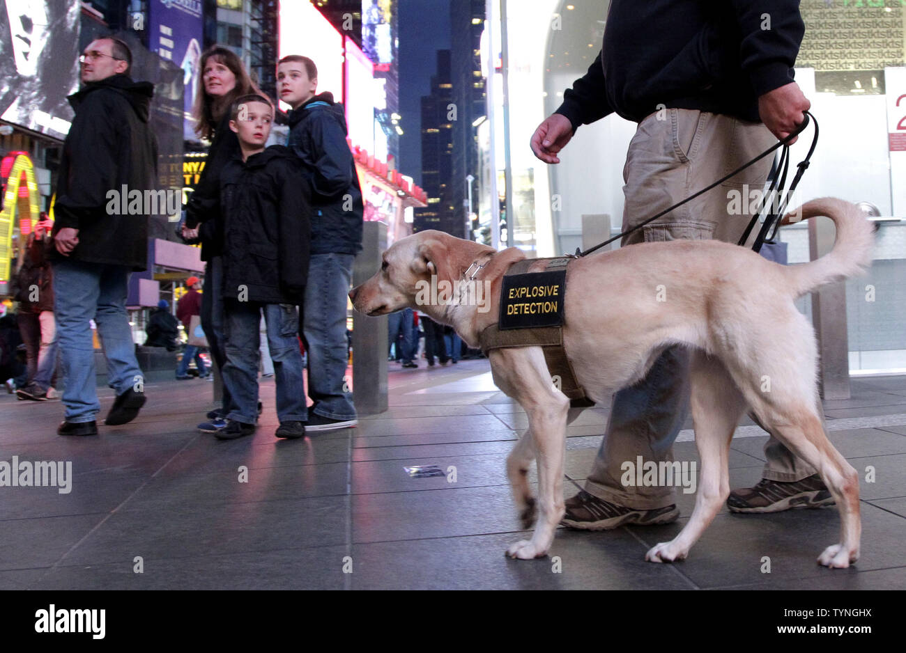 Bomb Dogs High Resolution Stock Photography and Images - Alamy