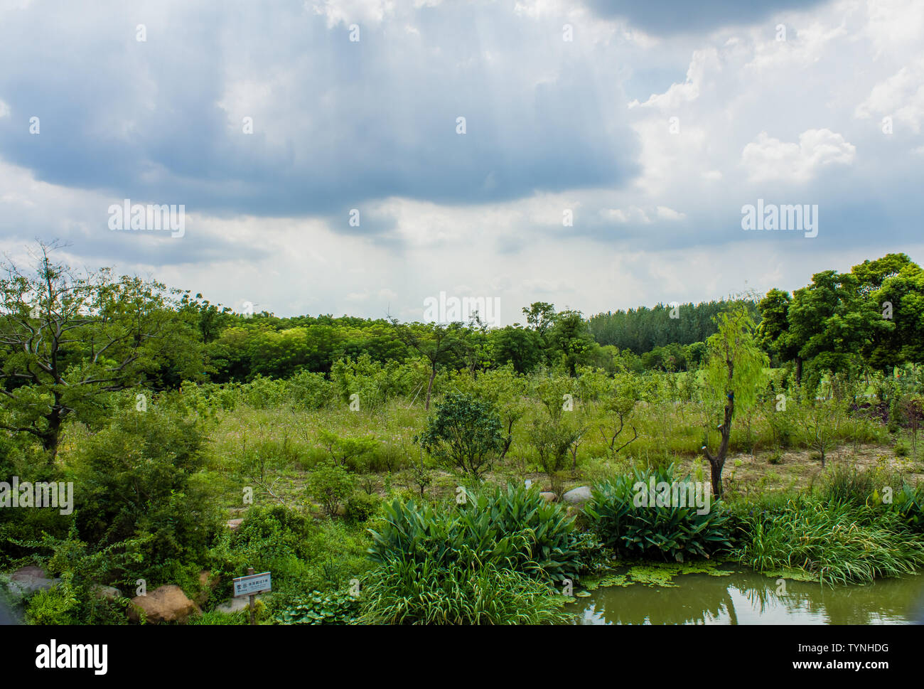 Scenery of Gucun Park in Shanghai Stock Photo - Alamy