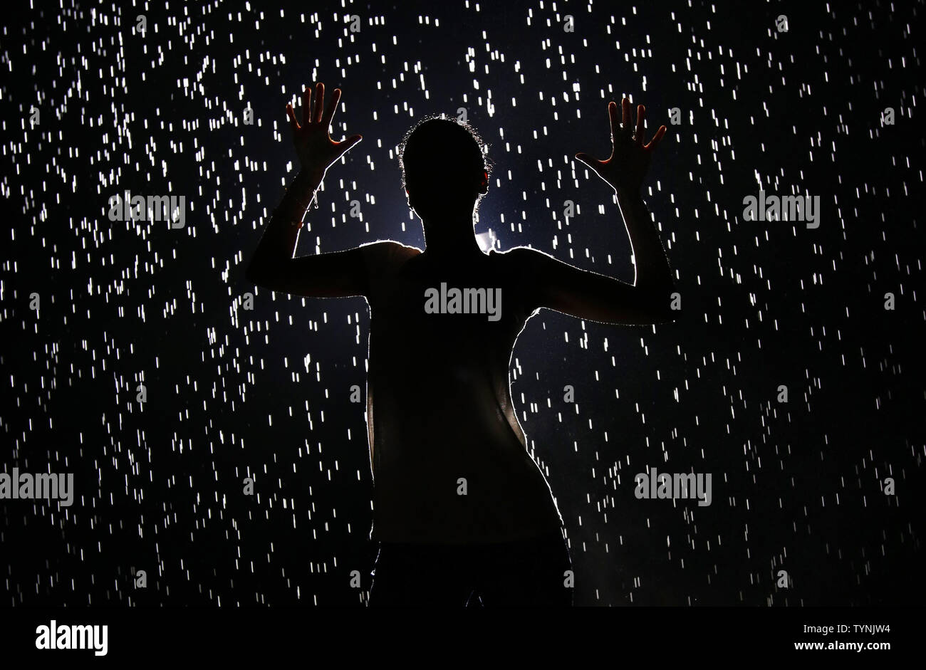 Visitors spend time in the new Random InternationalÕs immersive ...