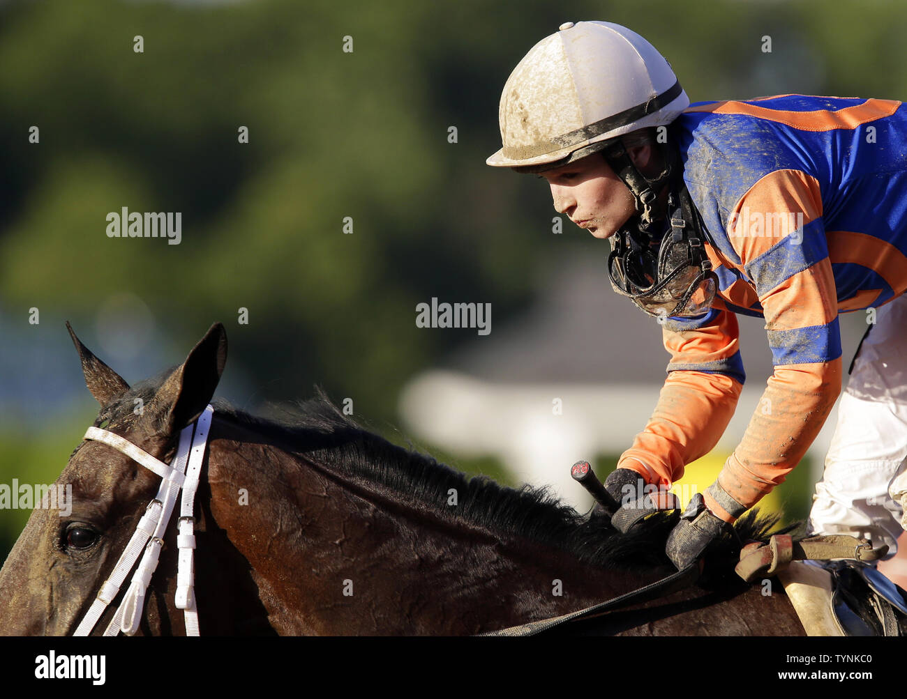 Rosie smith hi-res stock photography and images - Alamy