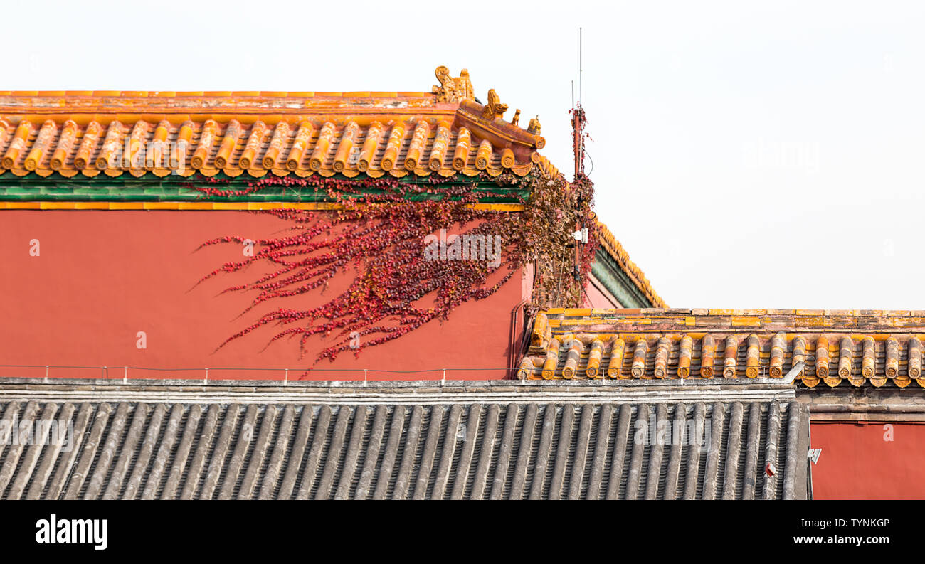 Forbidden City Museum Architecture Texture Stock Photo - Alamy