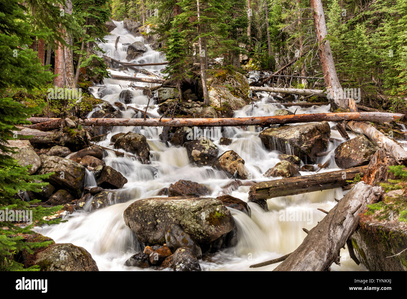 Spring snowmelt floods Calypso Cascades in the Wild Basin in Spring ...