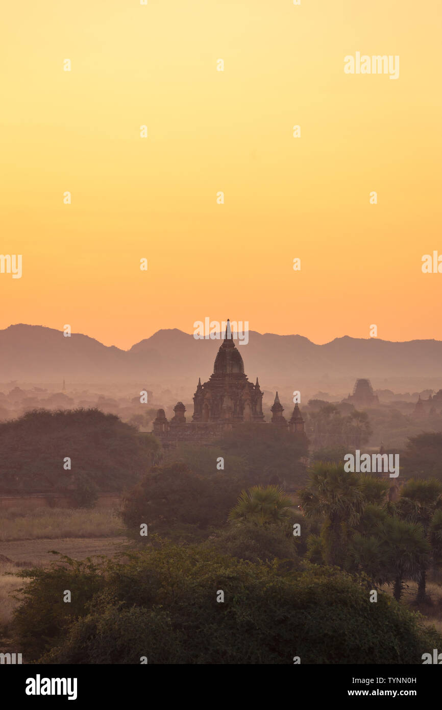 Pugan High Resolution Stock Photography and Images - Alamy