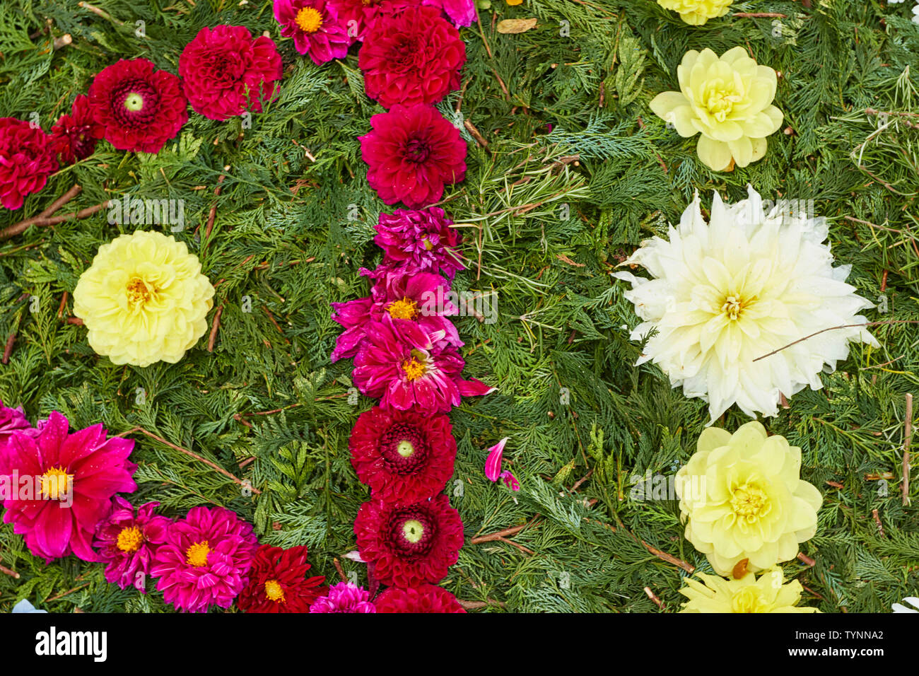 Corpus Christy religious festival in funchal, June 2019, with flowers ...
