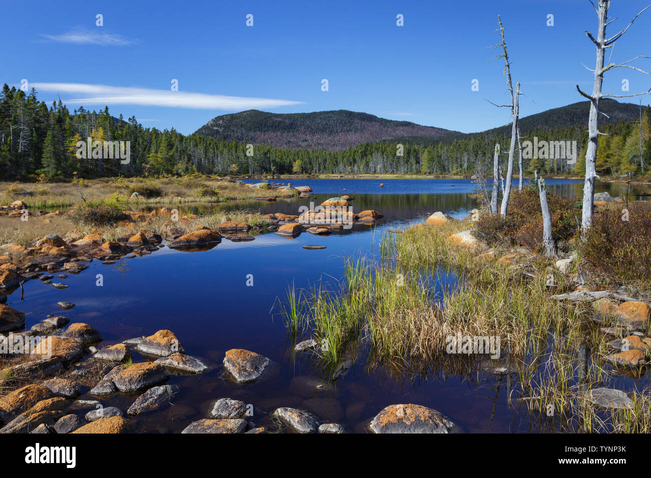 Shoal Pond in the Pemigewasset Wilderness in Lincoln, New Hampshire ...