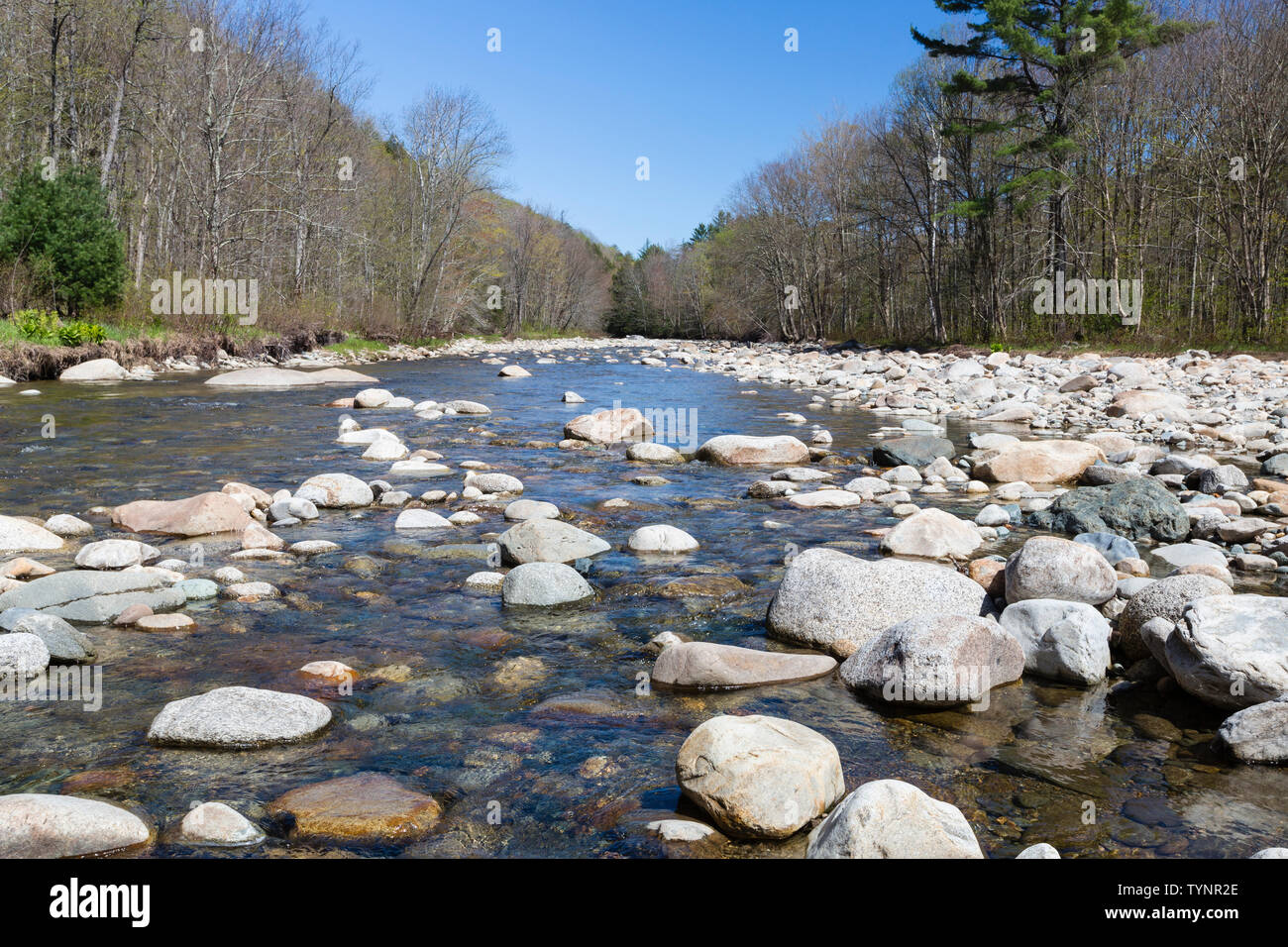 The Wild Ammonoosuc River in Landaff, New Hampshire during the spring ...