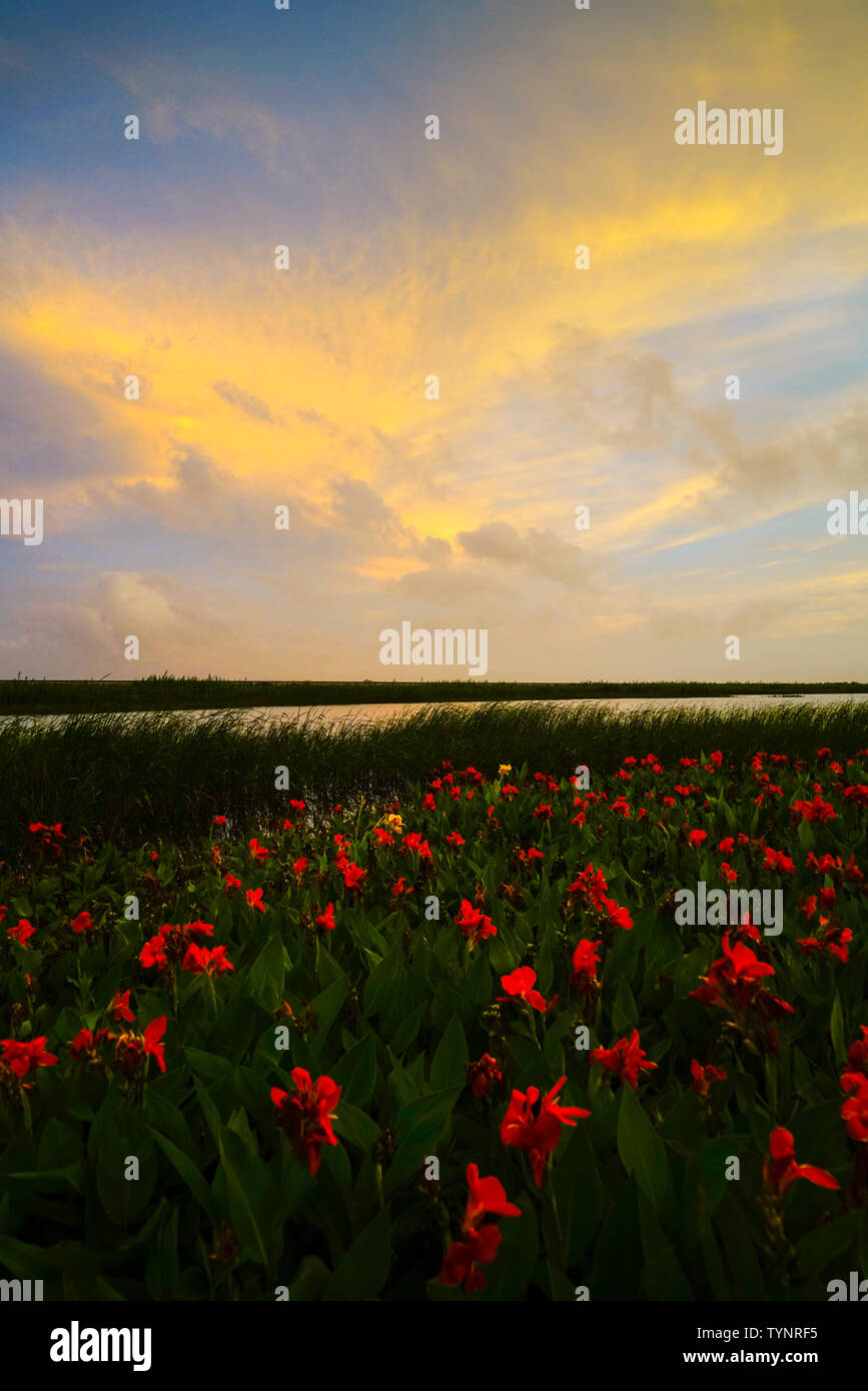 Meishan city hi-res stock photography and images - Alamy
