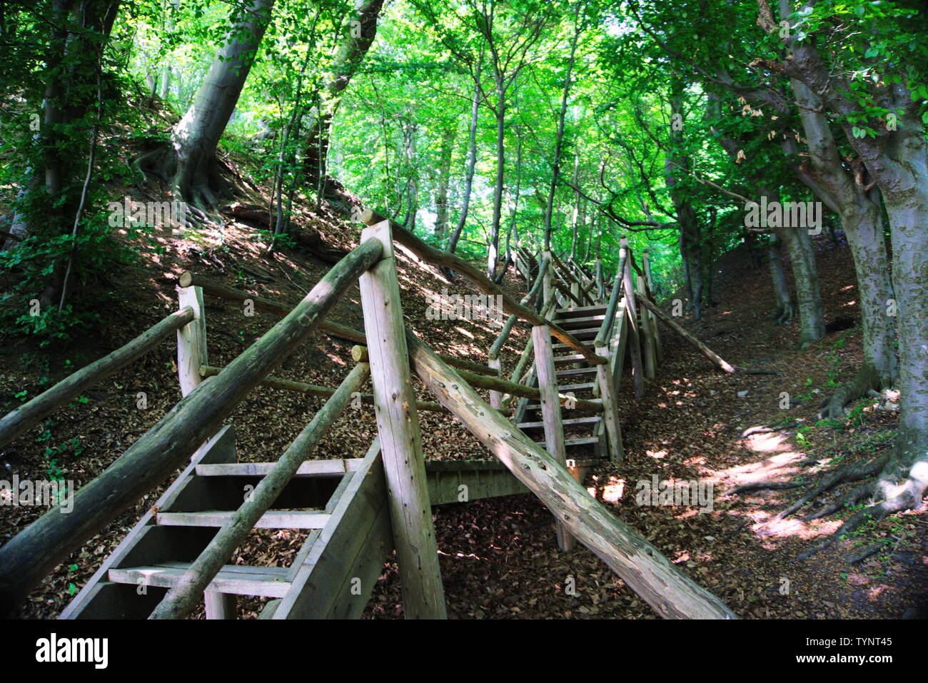 Steep stairs sea hill hi-res stock photography and images - Alamy