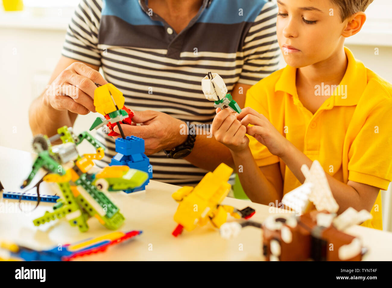 Creative child. Serious concentrated boy building a constructor toy ...