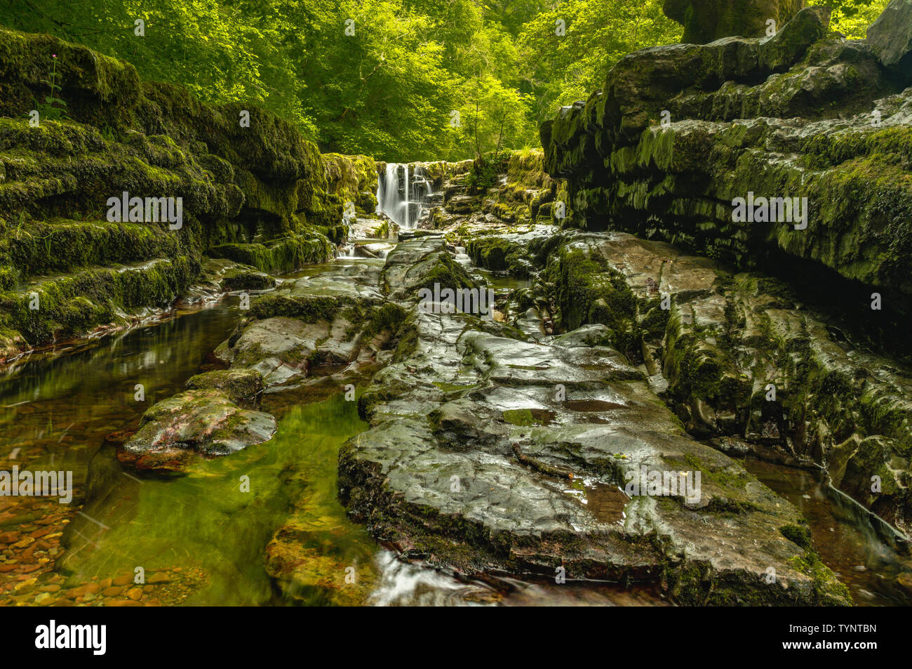 Long exposure shot of a waterfall flowing into a lush green gorge ...