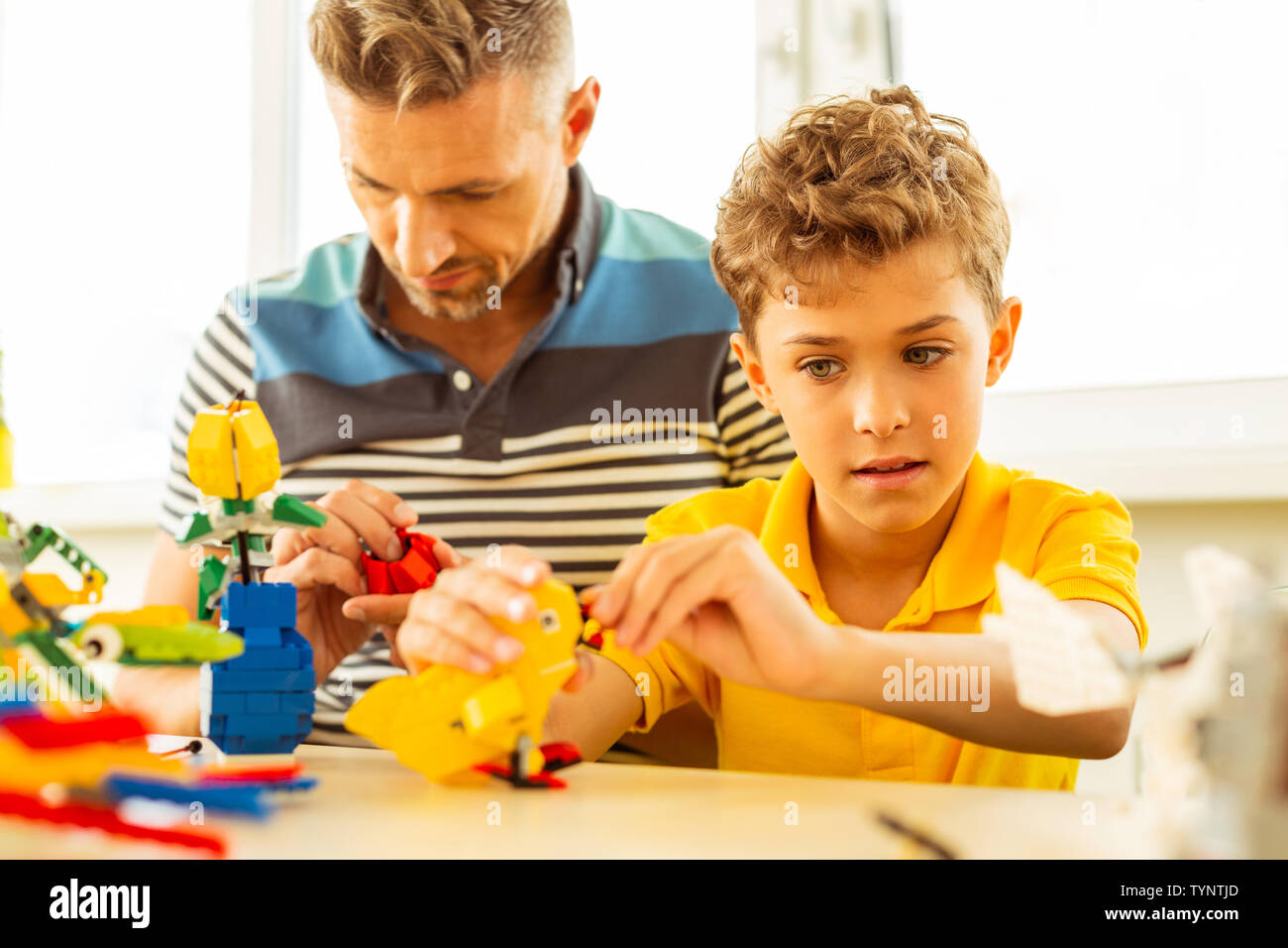 Cute bird. Nice cute boy using a constructor set while building a cute ...