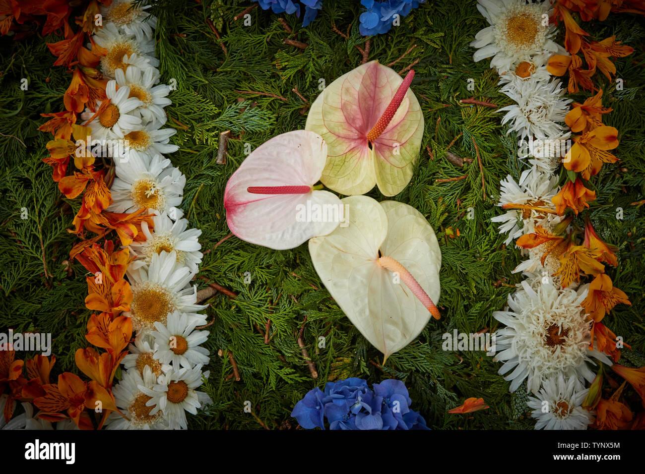 Corpus Christy religious festival in funchal, June 2019, with flowers ...