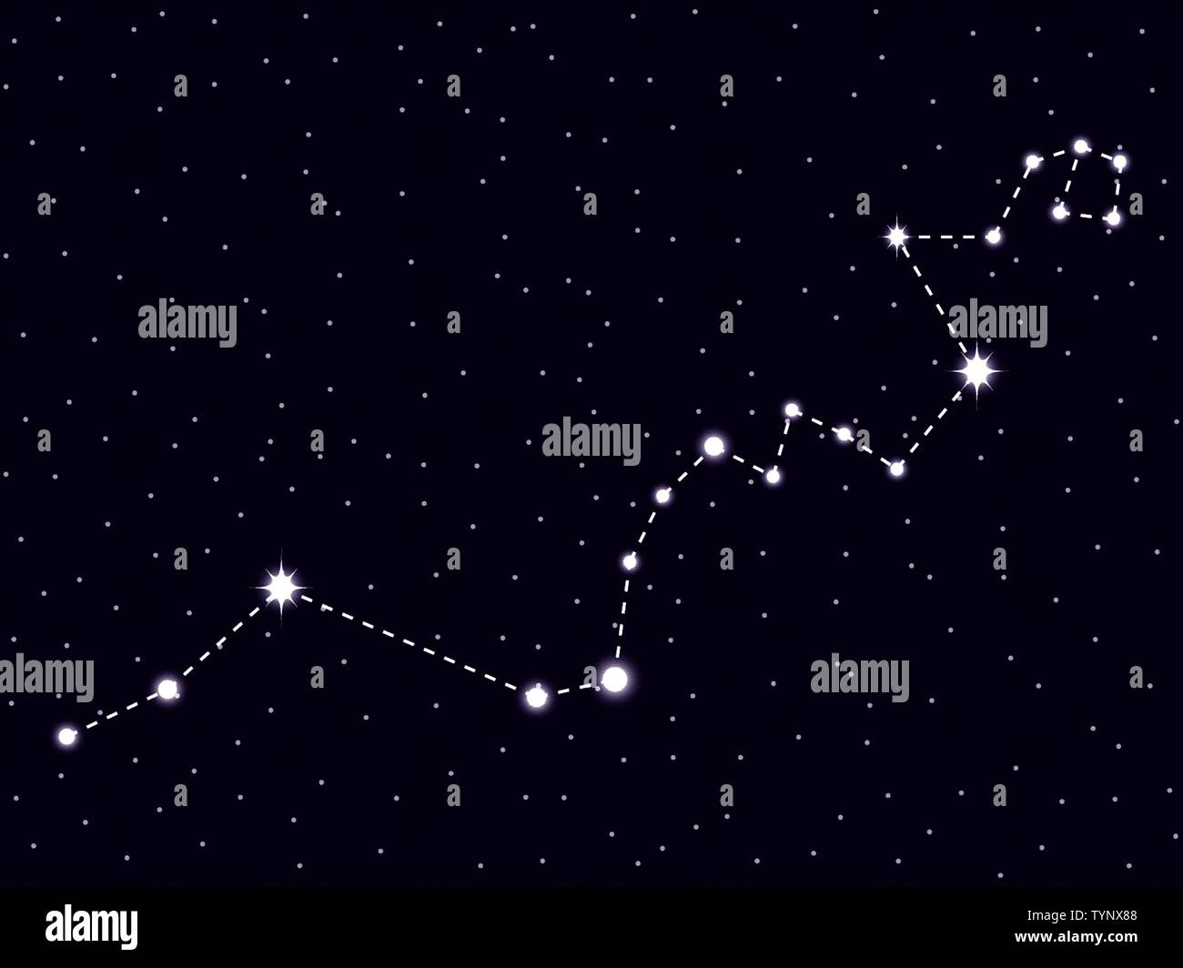 Hydra cluster Stock Vector Images - Alamy