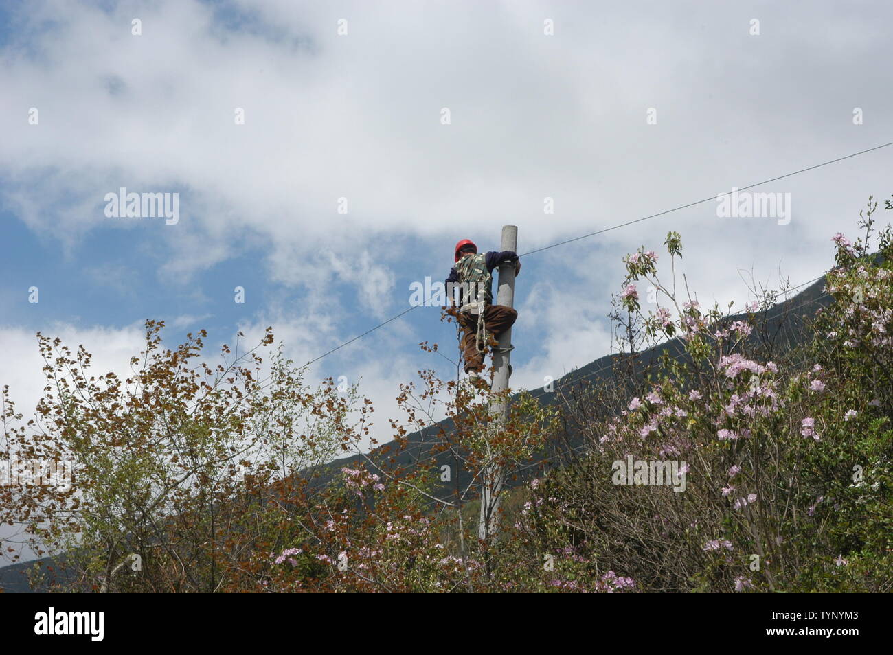 Field power operations Stock Photo - Alamy