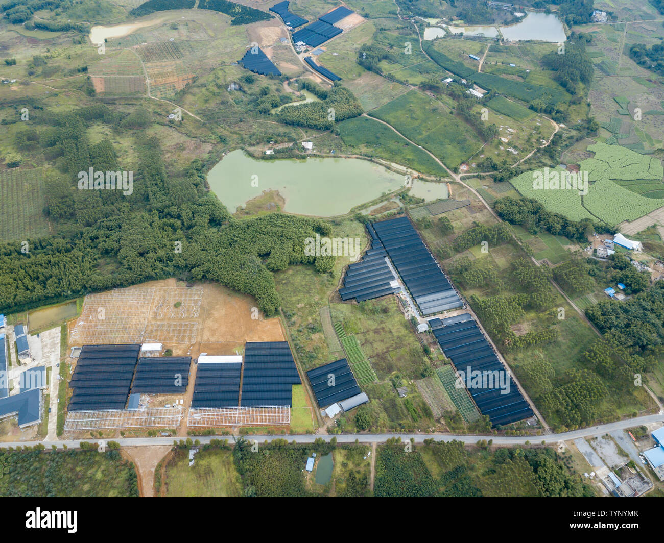 Large scale tree planting hi-res stock photography and images - Alamy