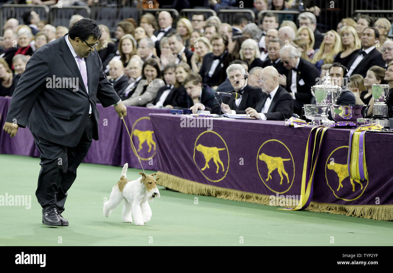 New york city madi hi-res stock photography and images - Alamy