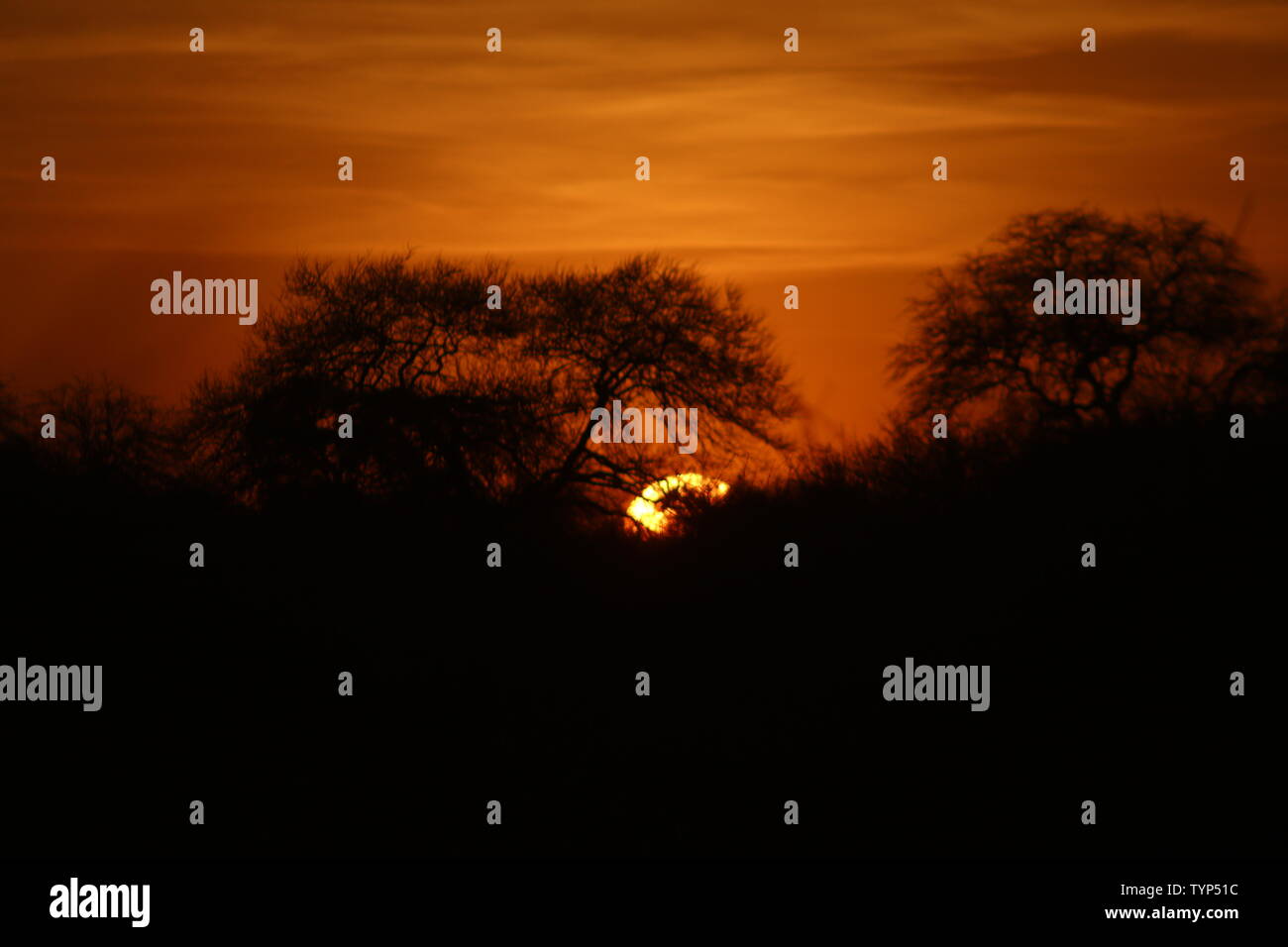 Inside a castle hi-res stock photography and images - Alamy