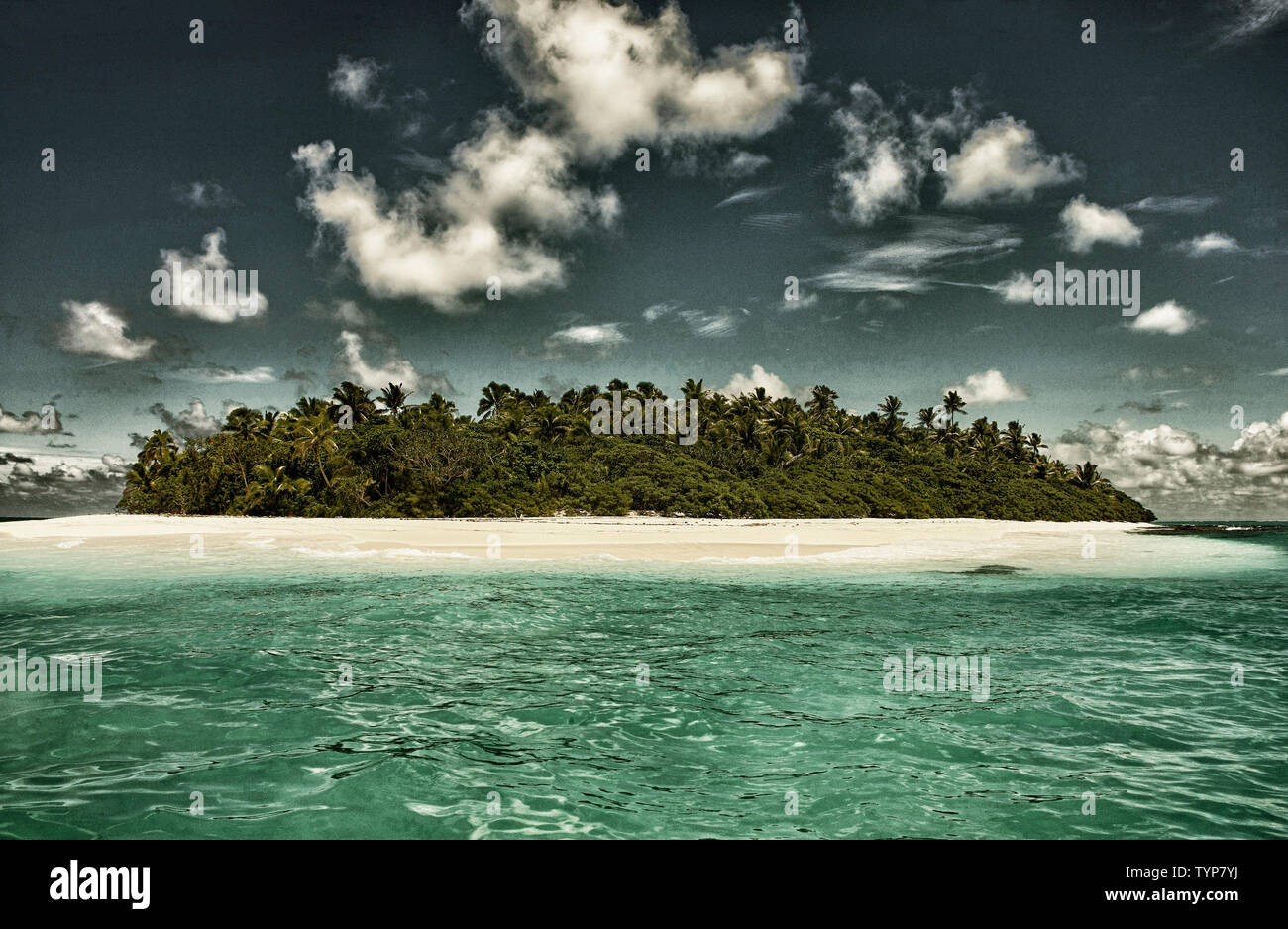 Tropical Island with a paradise beach and palm trees, Fiji Islands ...