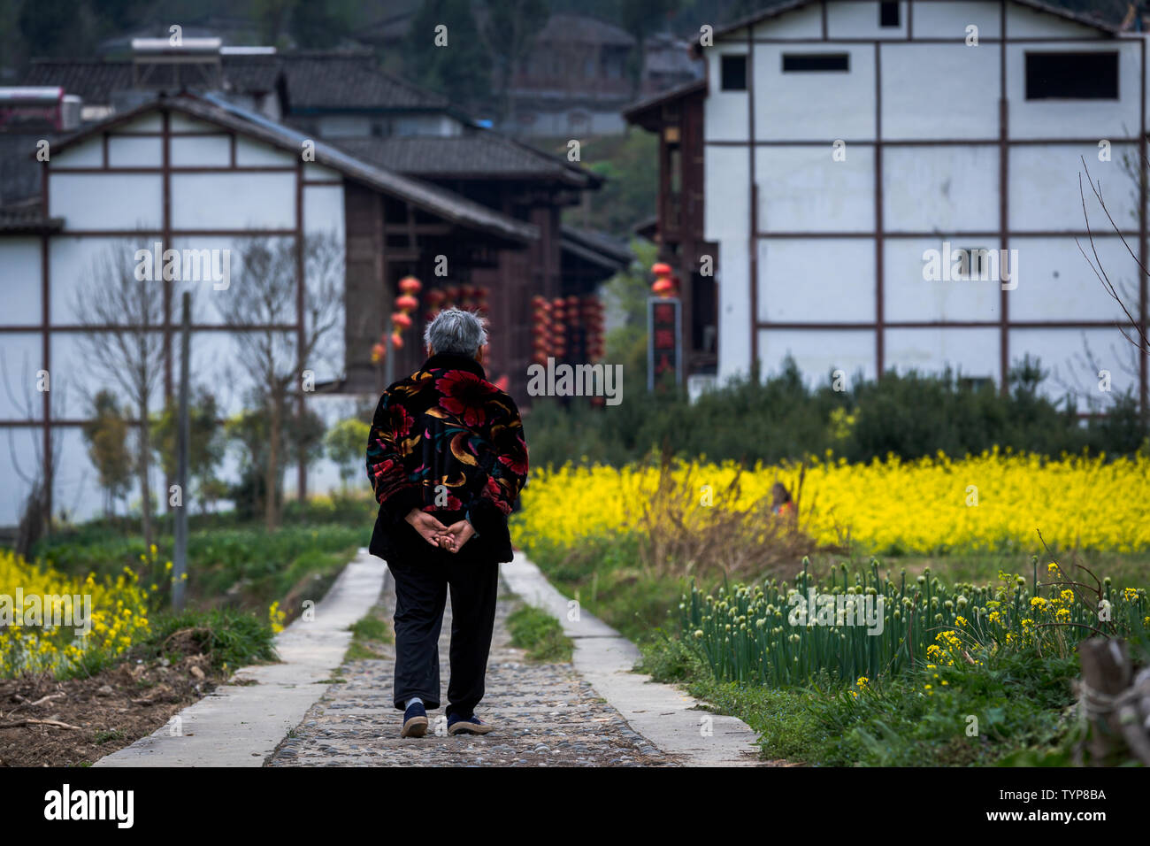 Akagawa hi-res stock photography and images - Alamy