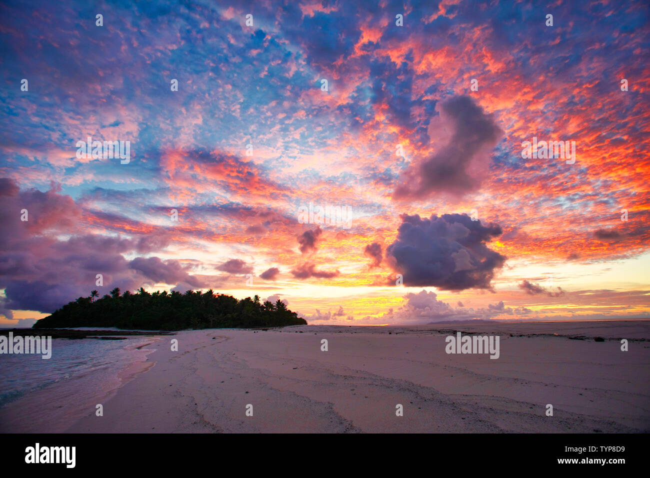 Tropical Island with a paradise beach and palm trees, Fiji Islands ...