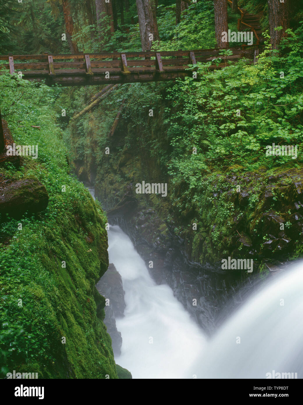 USA, Washington, Olympic National Park, Sol Duc Falls has carved a deep ...